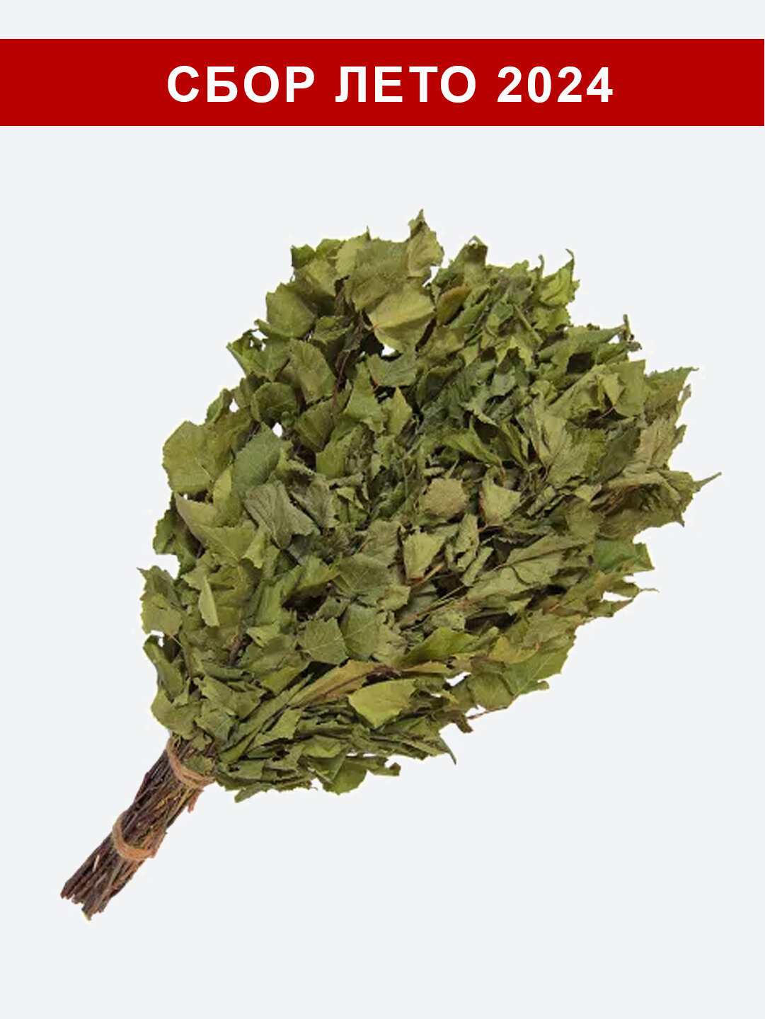 Веник Березовый свежий Сбор Лето 2024 для бани и сауны 1 шт