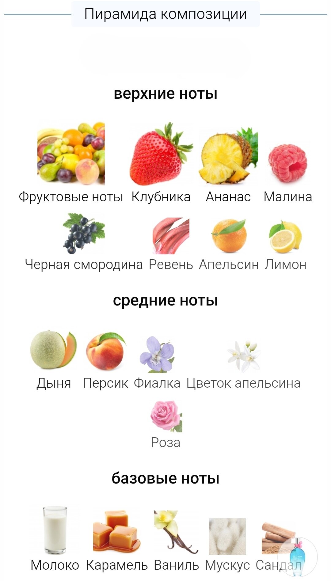 Духи ручной работы по мотивам 'Turquoise Summer', для женщин — фото 1