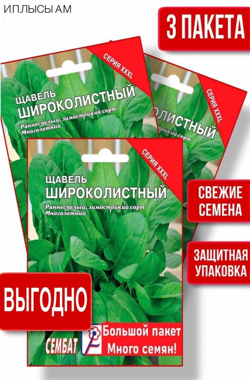 Семена Щавель Широколистный