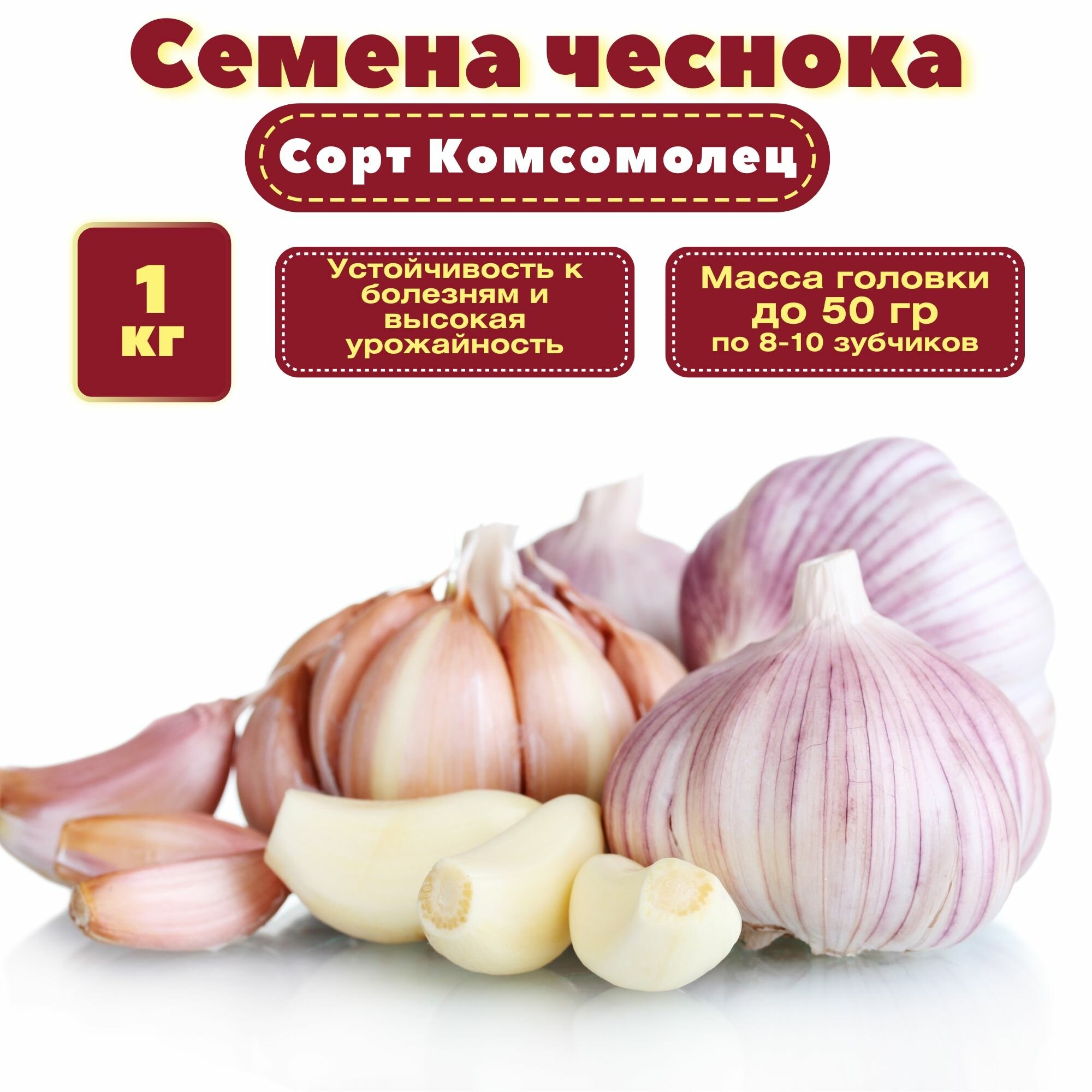 Чеснок озимый на посадку крупный 1 кг сорт "Комсомолец". Высокая урожайность, устойчивость к болезням, отличные вкусовые качества и простота в выращивании. Для ценителей натуральных продуктов.