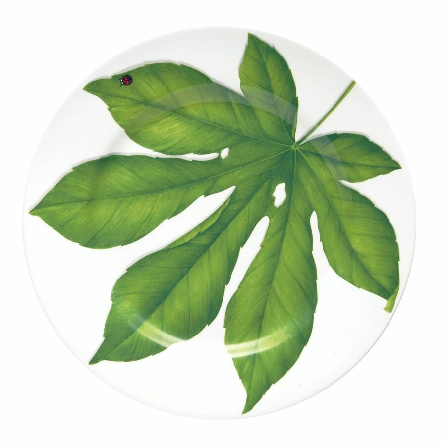 Блюдо сервировочное, TAITU, фарфор, посуда для сервировки стола для подачи блюд, Leaf, 31,5 см. FREEDOM