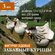 Фигурка садовая