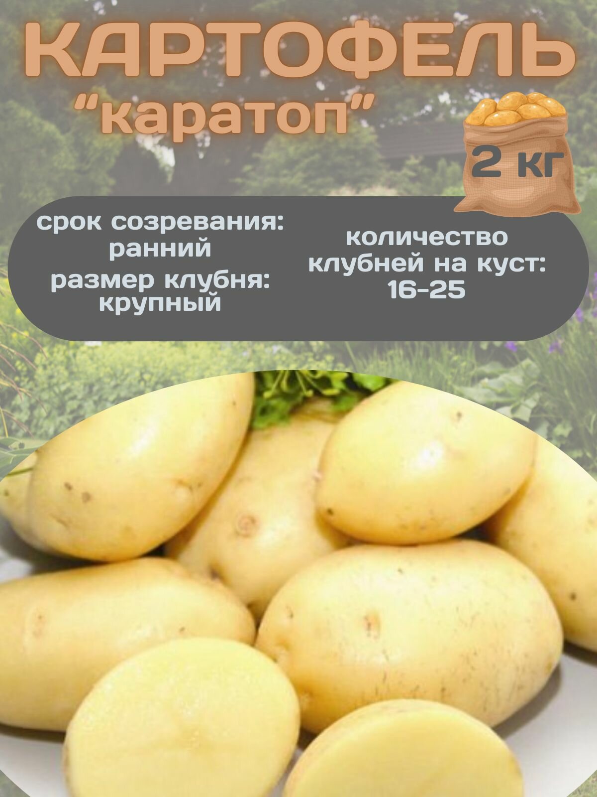 Картофель семенной Каратоп 2 кг, на посадку