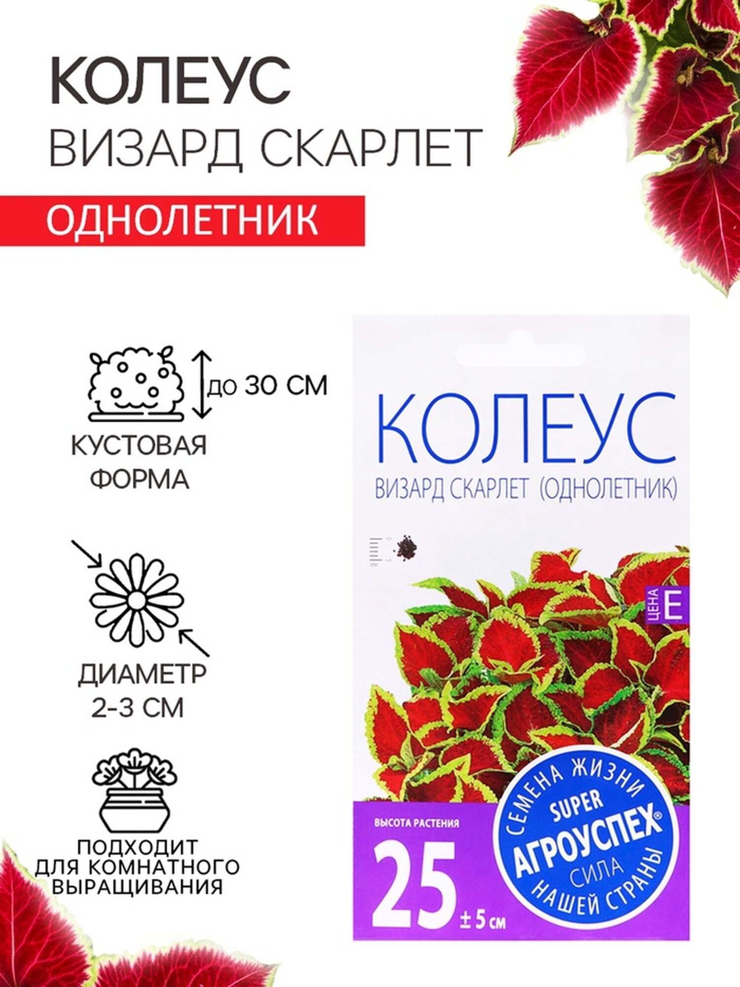 Семена цветов Агроуспех "Колеус Визард Скарлет", многолетние, открытый грунт, 10шт
