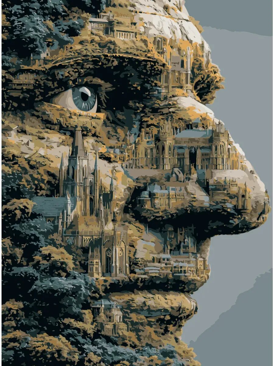 Картина по номерам 30x40 см лицо