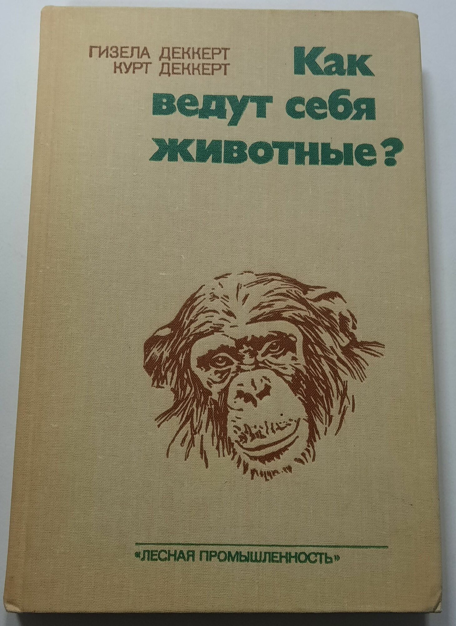 Как ведут себя животные?