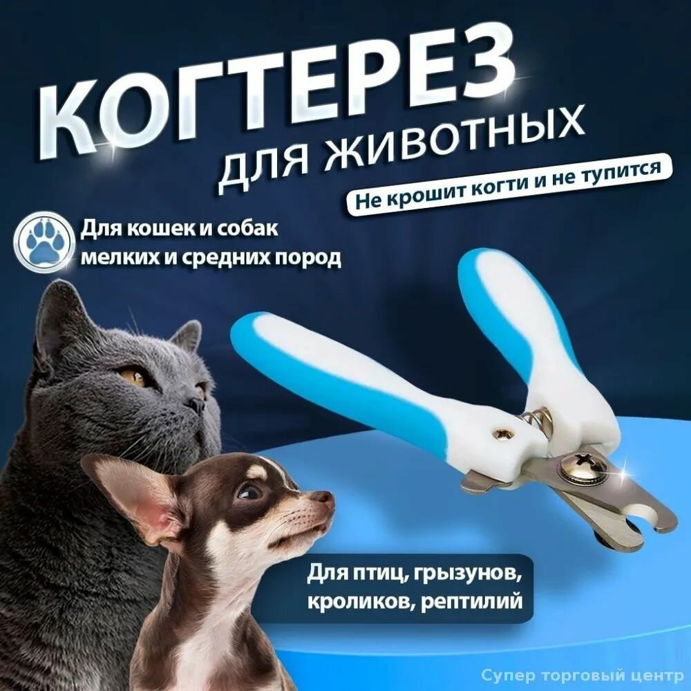 Инновационный бестселлер для ухода за питомцем, когтерез голубого цвета длиной 13 см с отверстием 8 мм, предназначенный для кошек и собак мелких и средних пород