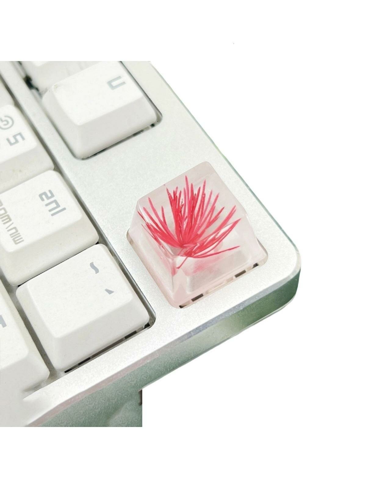1 Клавиша с высокопрозрачным изображением цветка сосны Понглае, изготовленная методом литья под давлением из смолы — красная