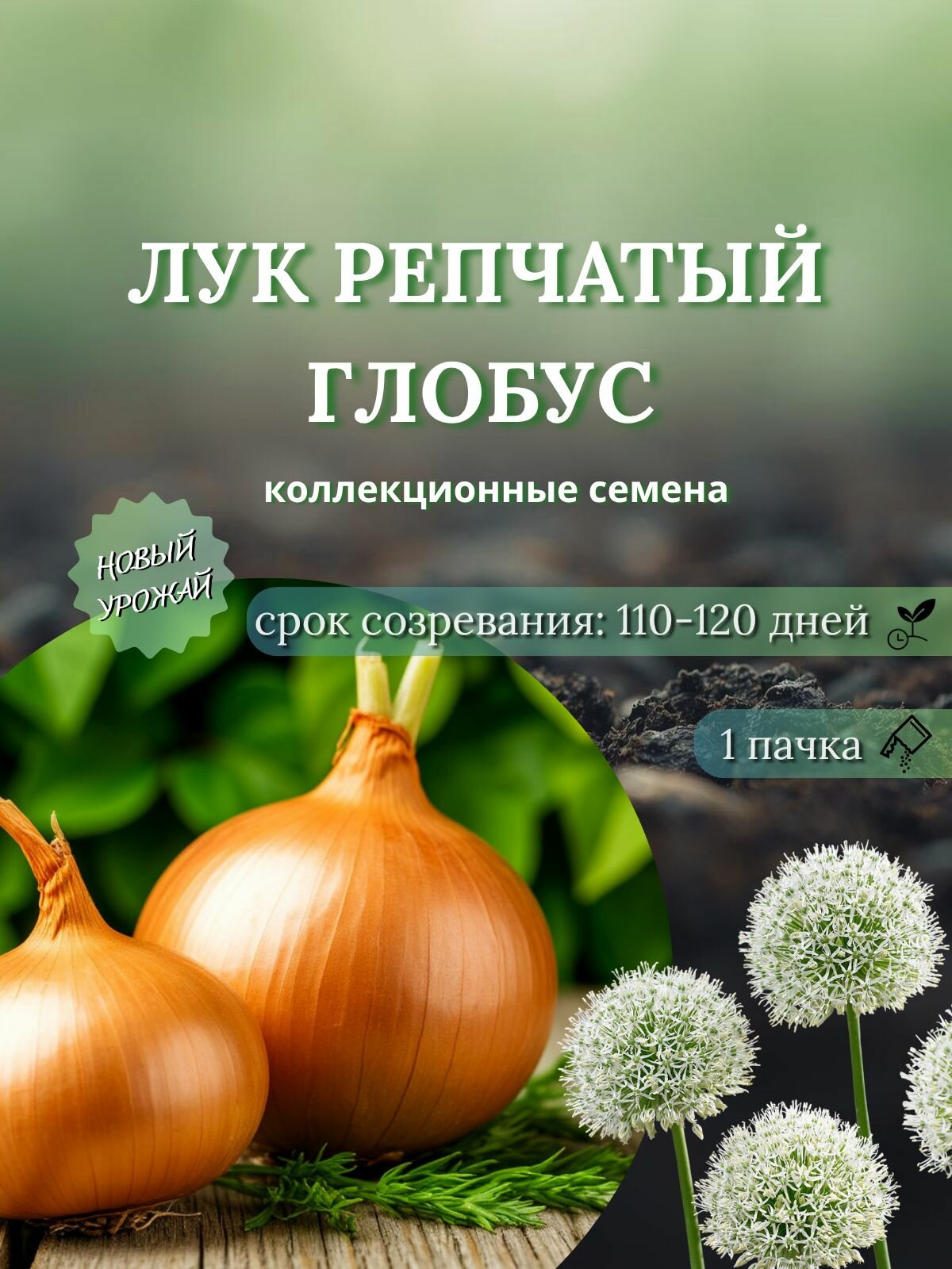 Лук репчатый Глобус, коллекционные семена, 10 шт.