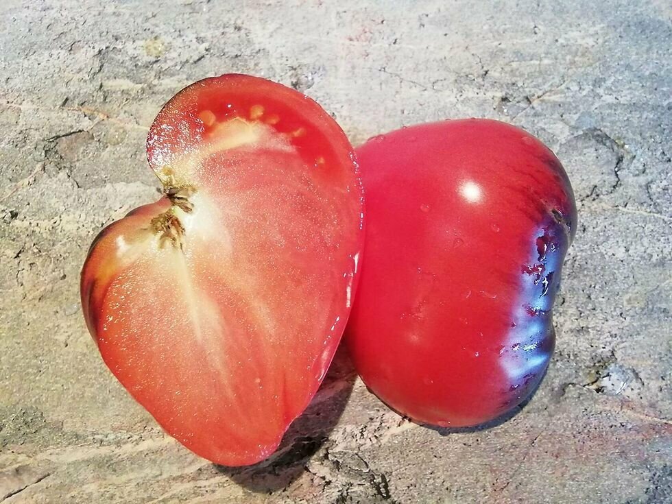 Коллекционные семена томата Сержант Марли