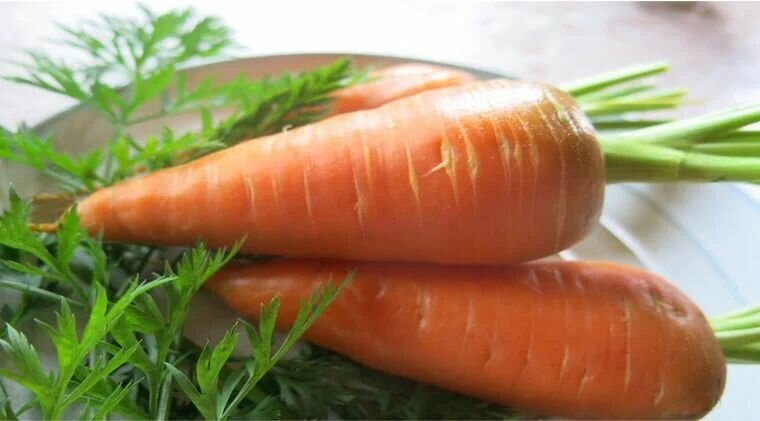 Коллекционные семена моркови Настена