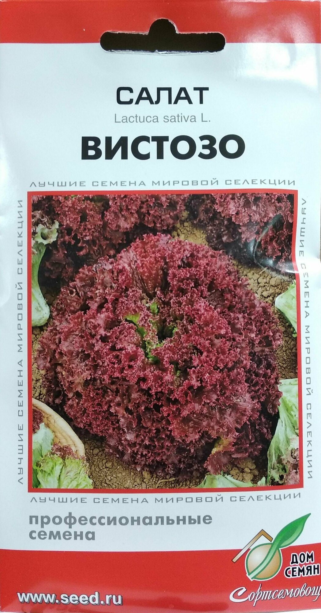 Салат Вистозо, тип Лолло Росса из Италии, полезен при заболеваниях щитовидной железы из-за повышенного содержания йода, 10 семян