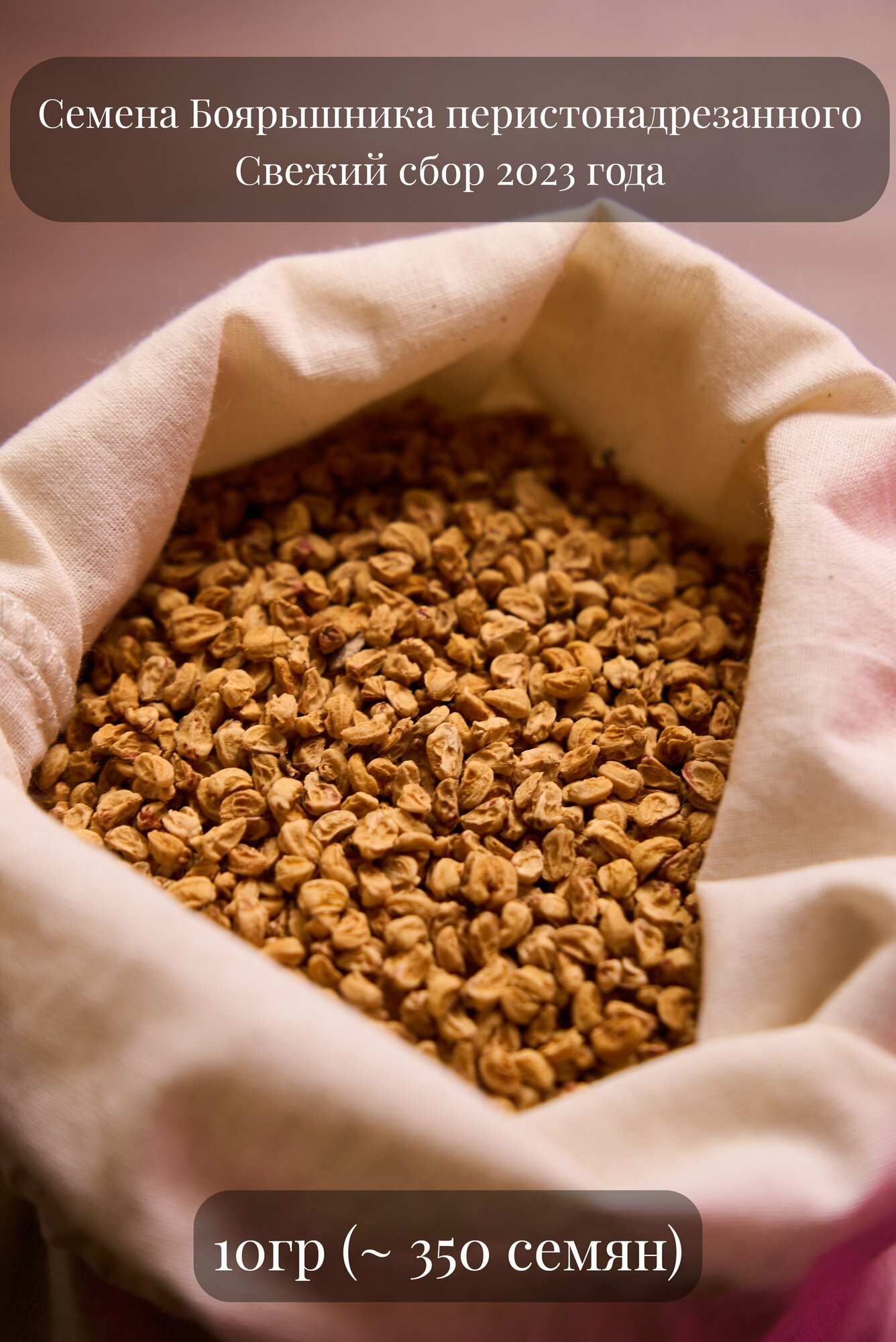 Семена Боярышника перистонадрезанного, 10 грамм (примерно 350 шт)