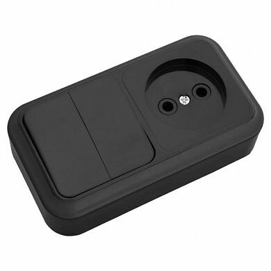 Блок (2 выкл. + роз) ОУ черный Bylectrica пралеска