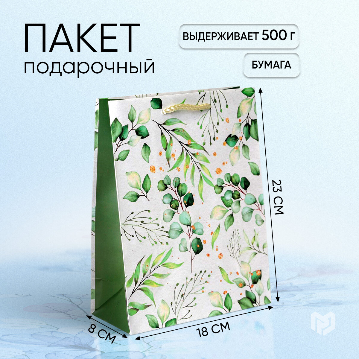 Пакет подарочный "Present for you", MS 18 х 23 х 8 см, вертикальный, для упаковки подарка