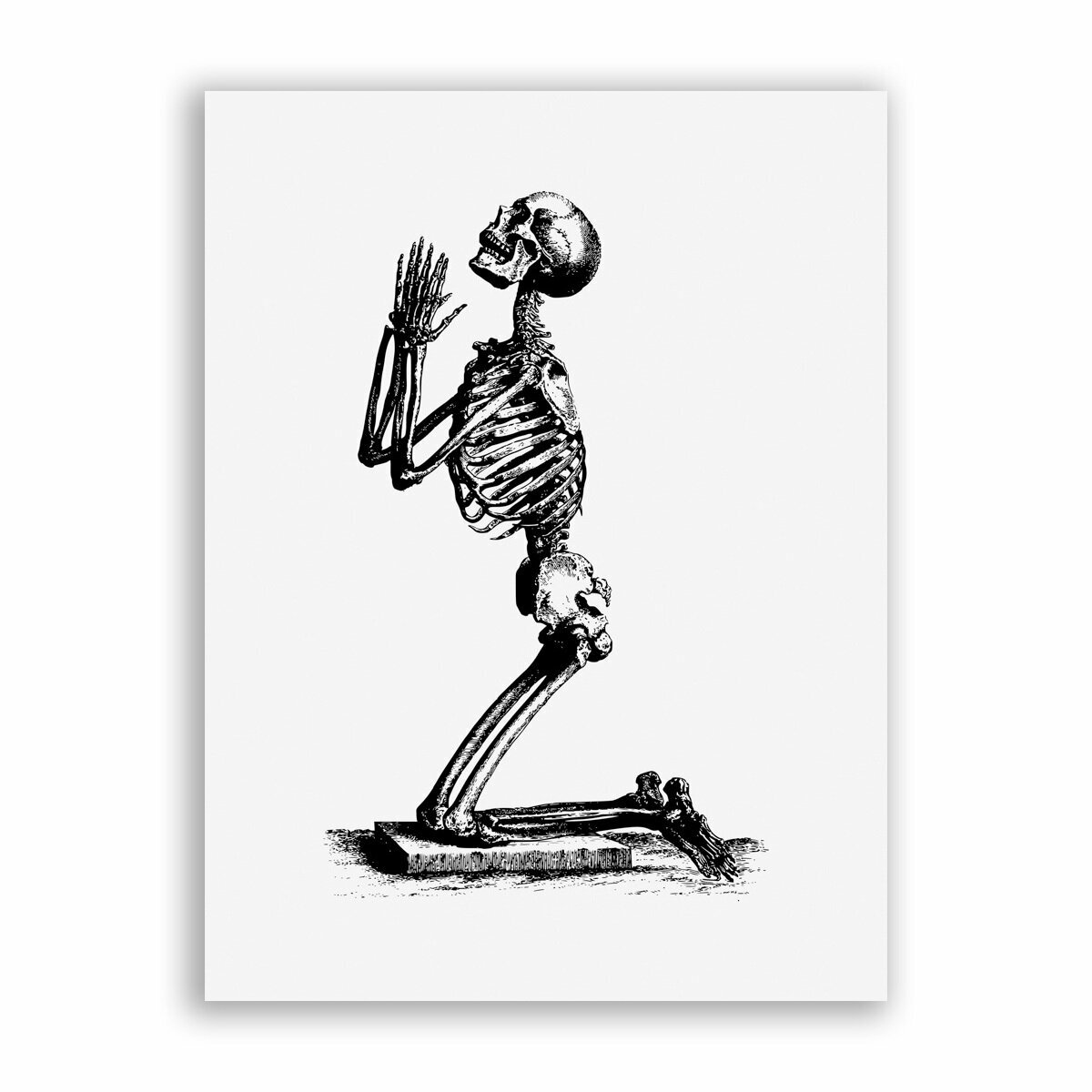 Постер плакат на бумаге / Черно-белые - Скелет / Размер 40 x 53 см
