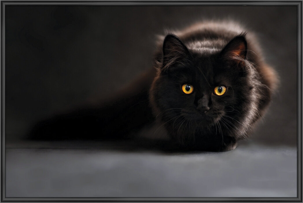 Магнитная настенная доска Абадабра "Черный янтарь" полимерная для хранения магнитов, с горизонтальным и вертикальным креплением, для дома и офиса, в тонком алюминиевом багете, 60х40 см