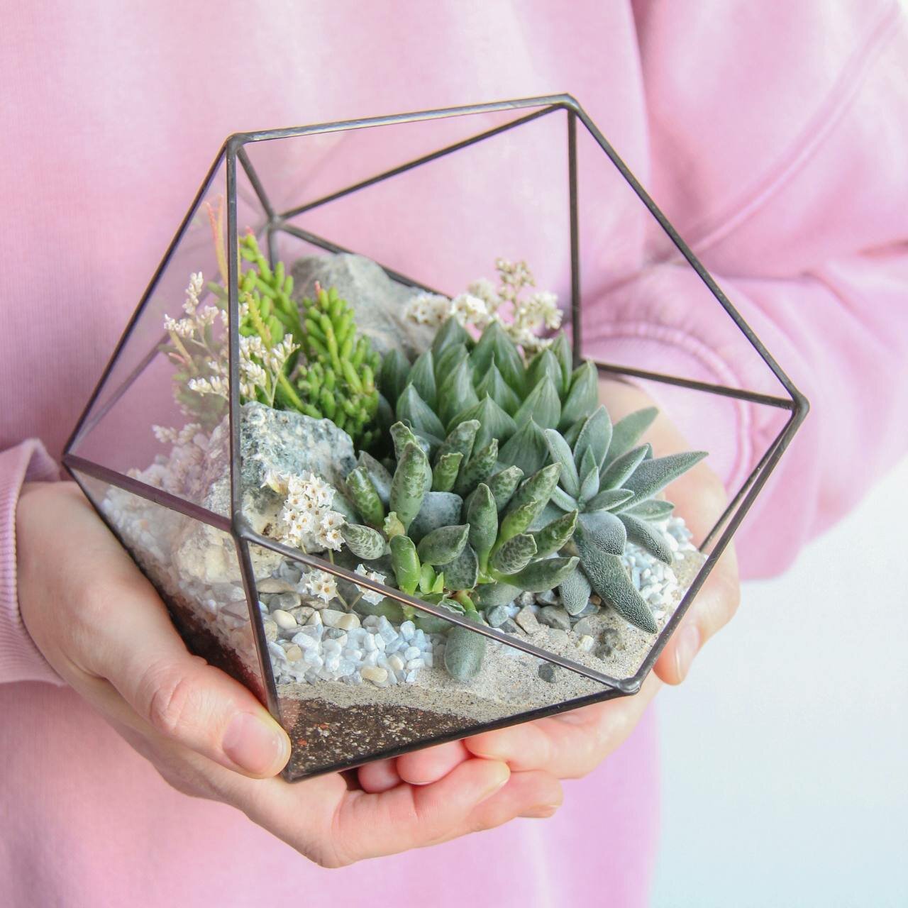 "Флорариум северинсайд с теневыносливыми суккулентами Сочный" от SEVERINSIDE