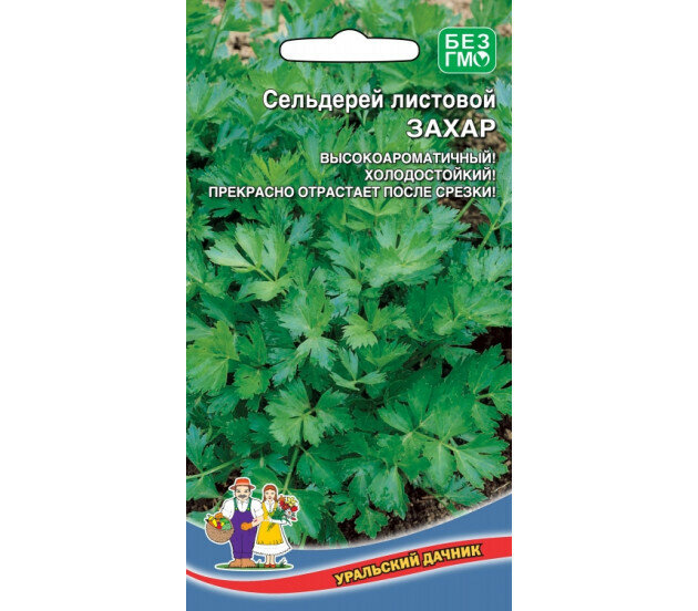 Семена Сельдерей Листовой Захар, Уральский дачник, 0,25 грамм, 1 пакет (зеленый)