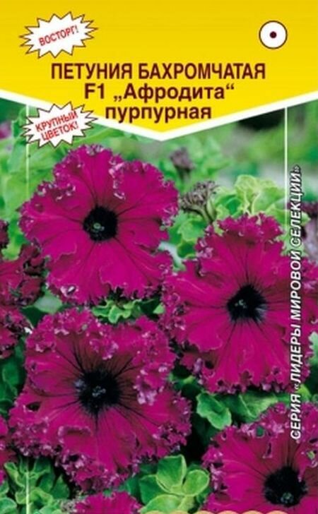 Петуния бахромчатая Афродита F1, пурпурная