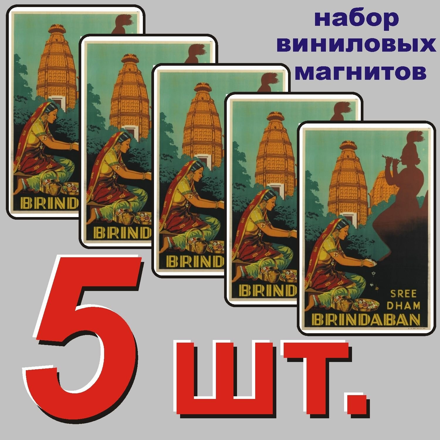 Магнит на холодильник "Индия" 5 шт.