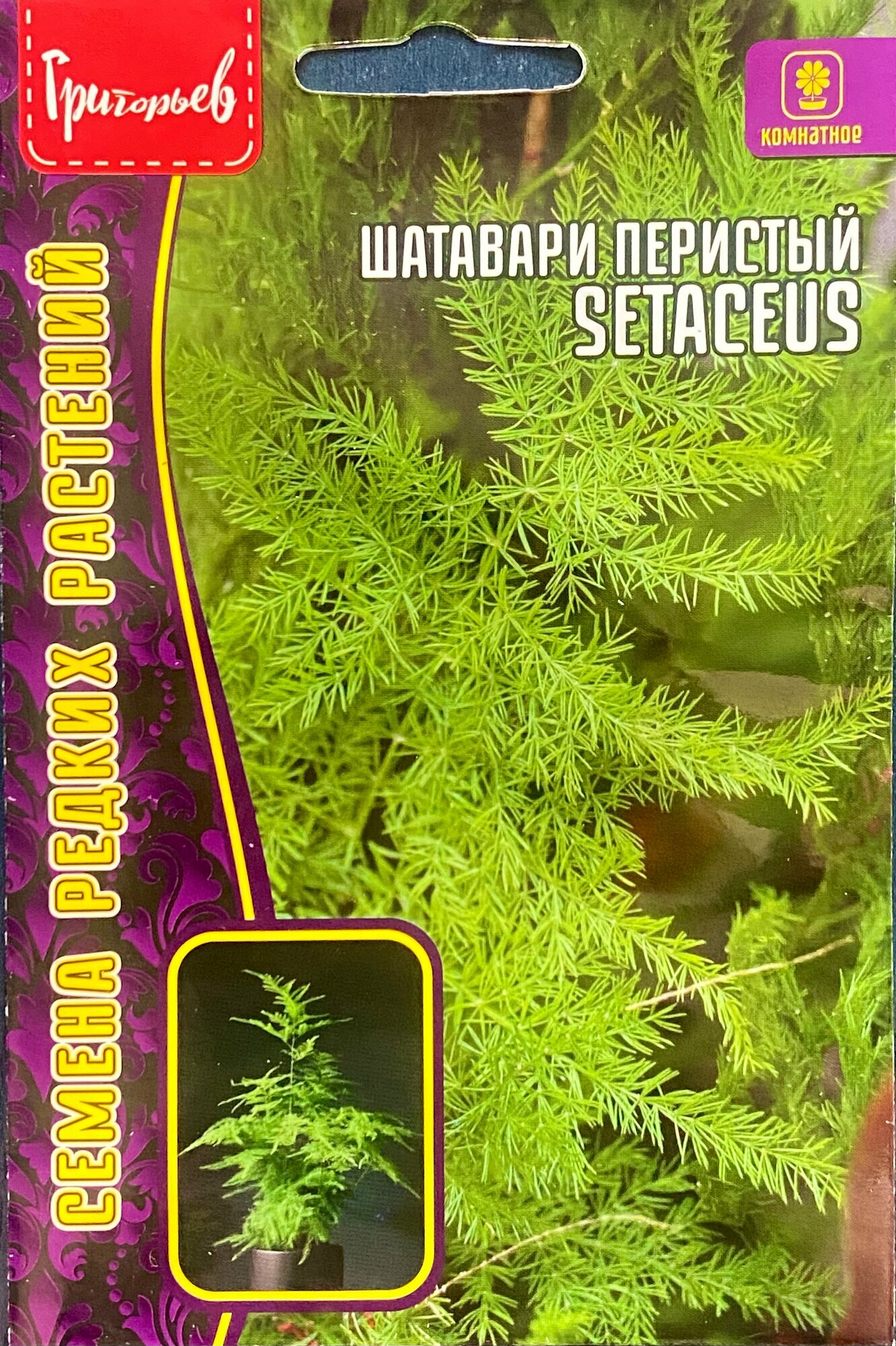 Семена Шатавари перистого (аспарагус) Setaceus (3 шт. семян)