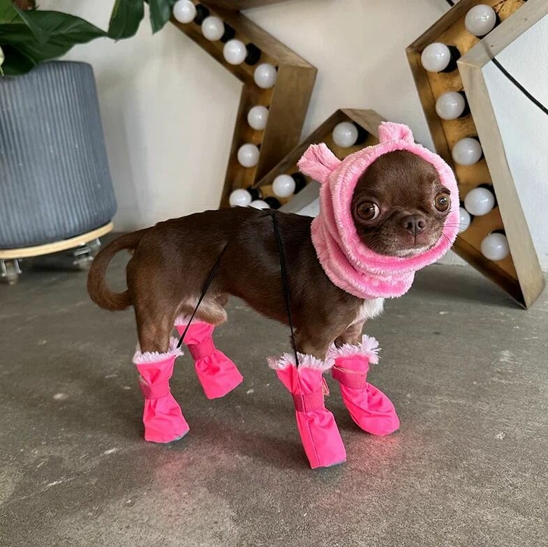 Шапка для собак мелких пород Мишка