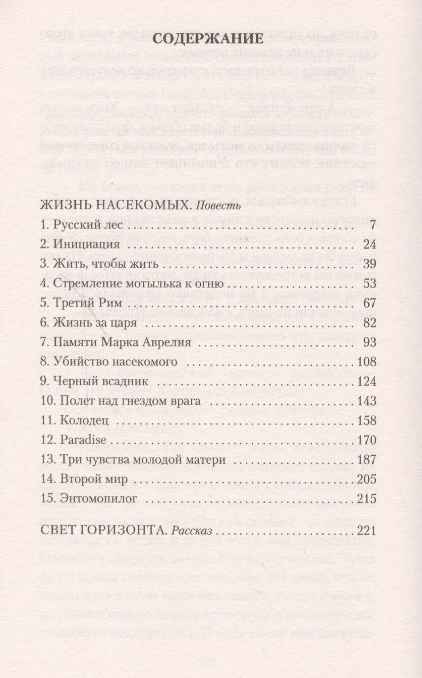Жизнь насекомых — фото 1