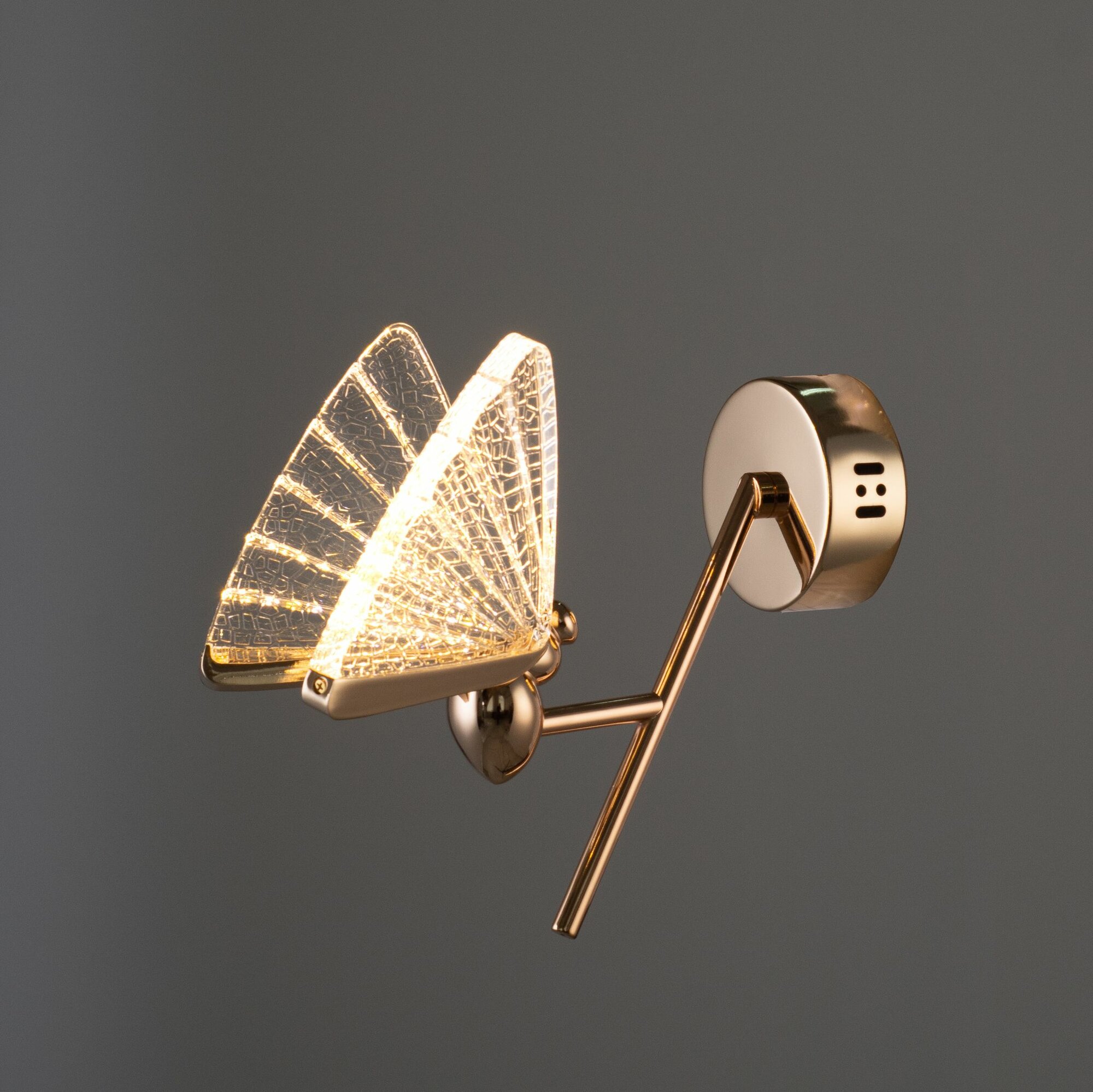 Бра настенный светильник Бабочка LED 2 Вт The Fluttering Butterfly A Светильник настенный бра прозрачный Blesslight