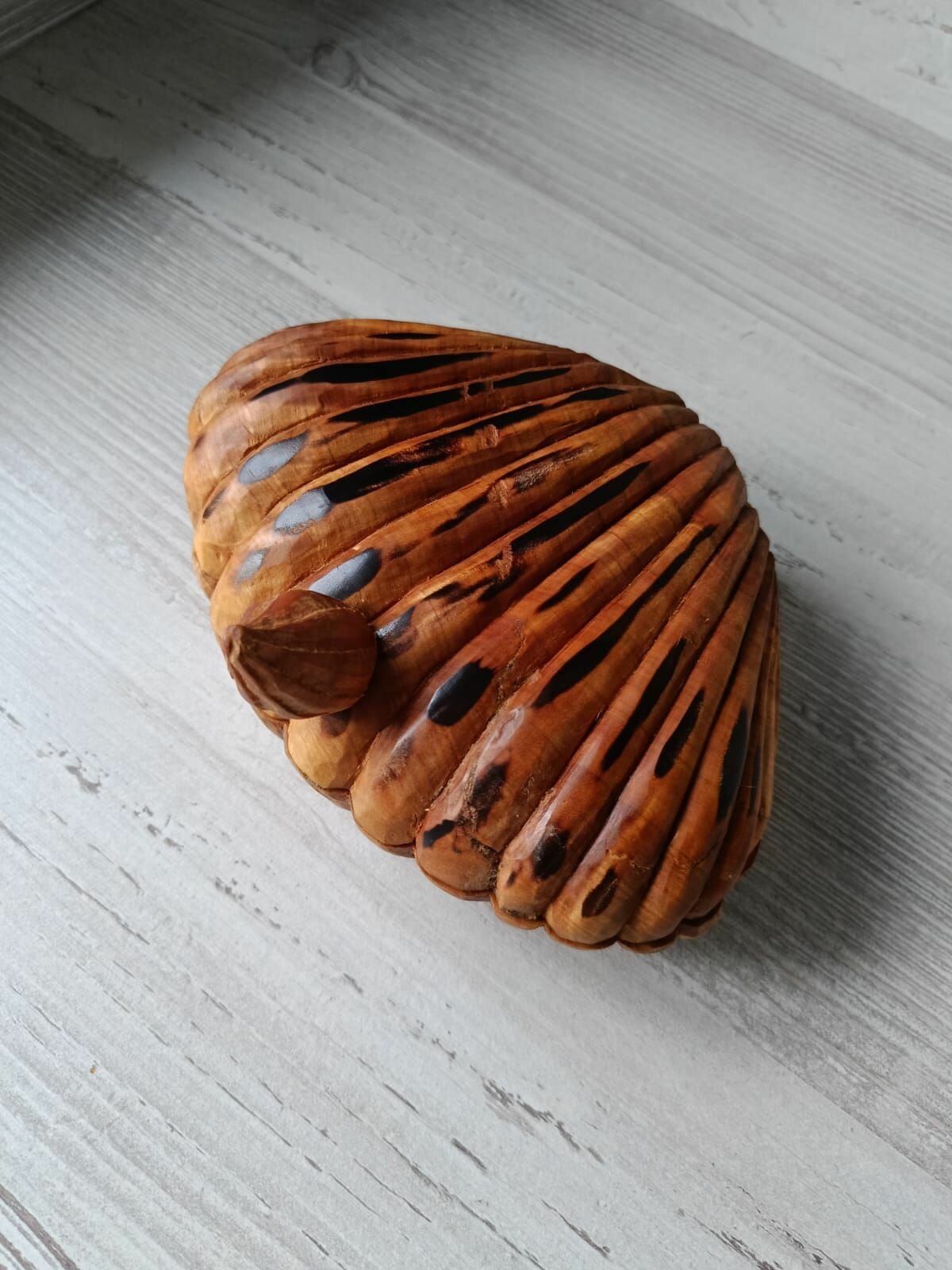 Шкатулка *Ракушка* из сувеля ивы.