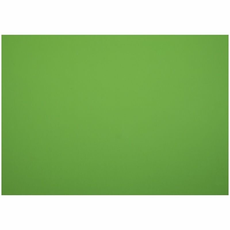 Картон плакатный Мульти-пульти 48х68 см 10 листов, мелованный в пакете, зеленый, 380 г/м2 (Кп_54118)