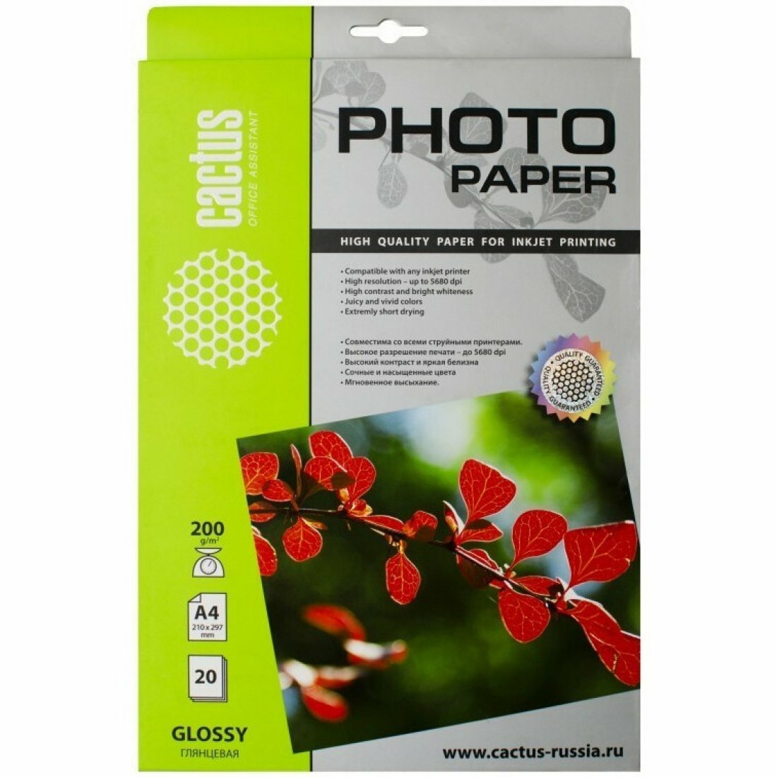 Фотобумага Cactus CS-GA420020 A4/200г/м2/20л./белый глянцевое для струйной печати