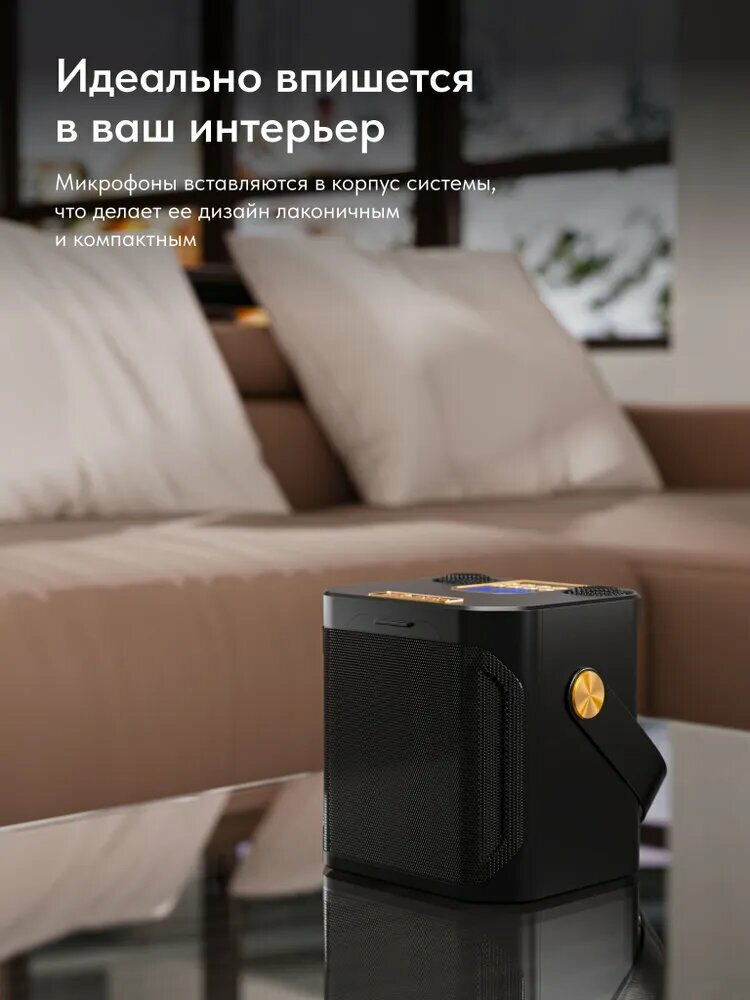 Караоке система, Колонка с микрофонами, Караоке система с двумя микрофонами