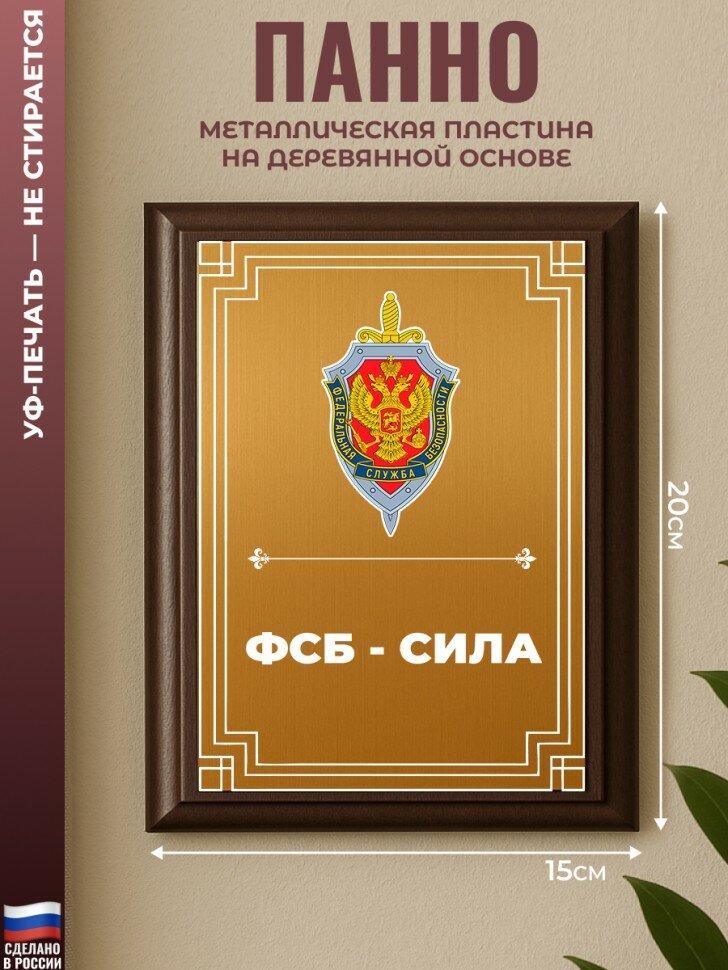 Настенный диплом "Фсб - сила"