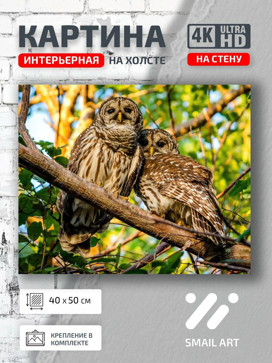 Картина на холсте интерьерная 40 на 50 на стену Дерево Landscape для кабинета пейзаж декор