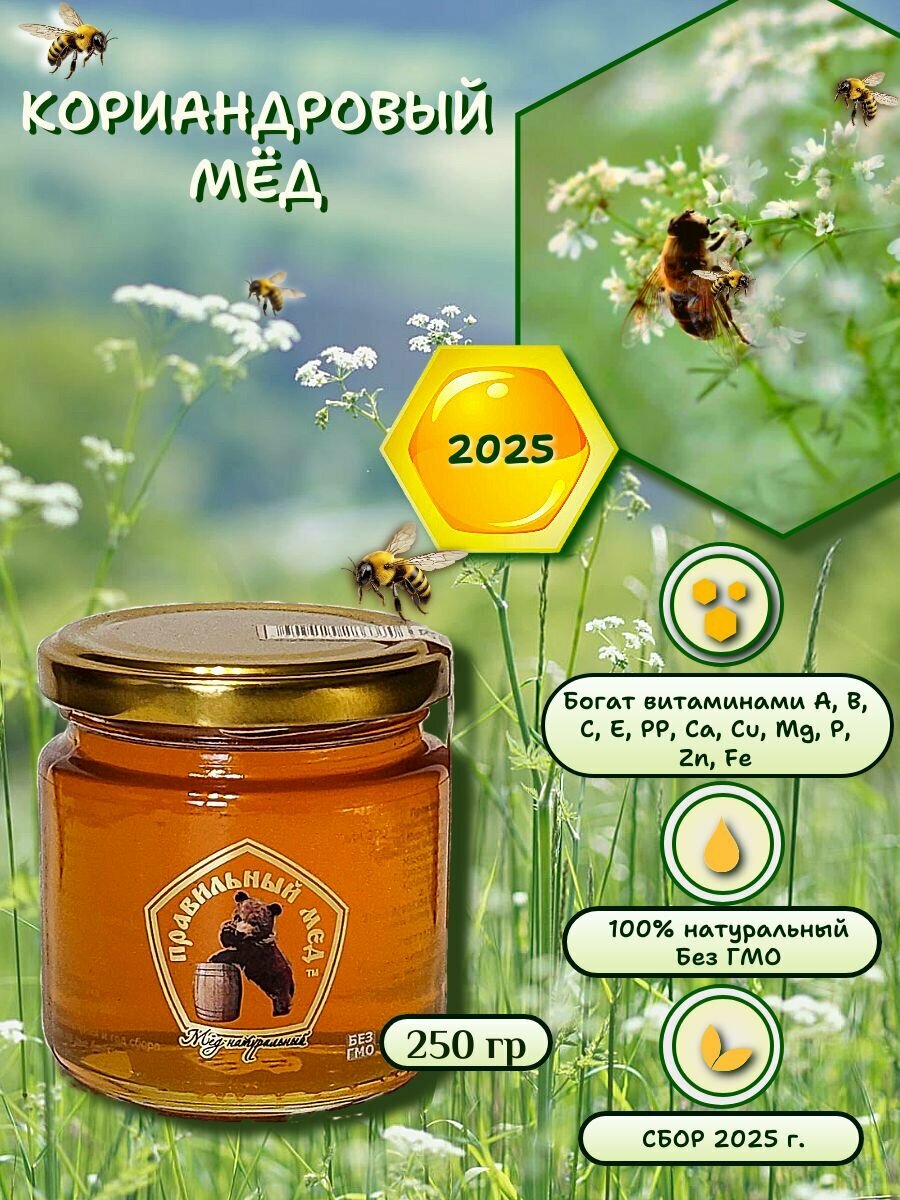 Мёд натуральный Кориандровый 250гр. (сбор 2025г.), Правильный мёд