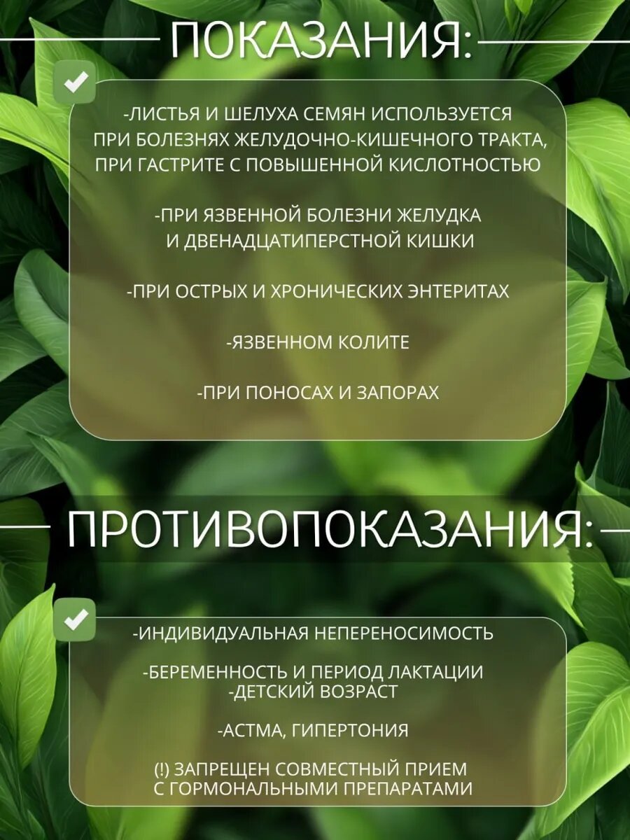 Подорожник трава 100 гр, Дивные Сборы, в крафт-пакете с zip-lock — фото 1