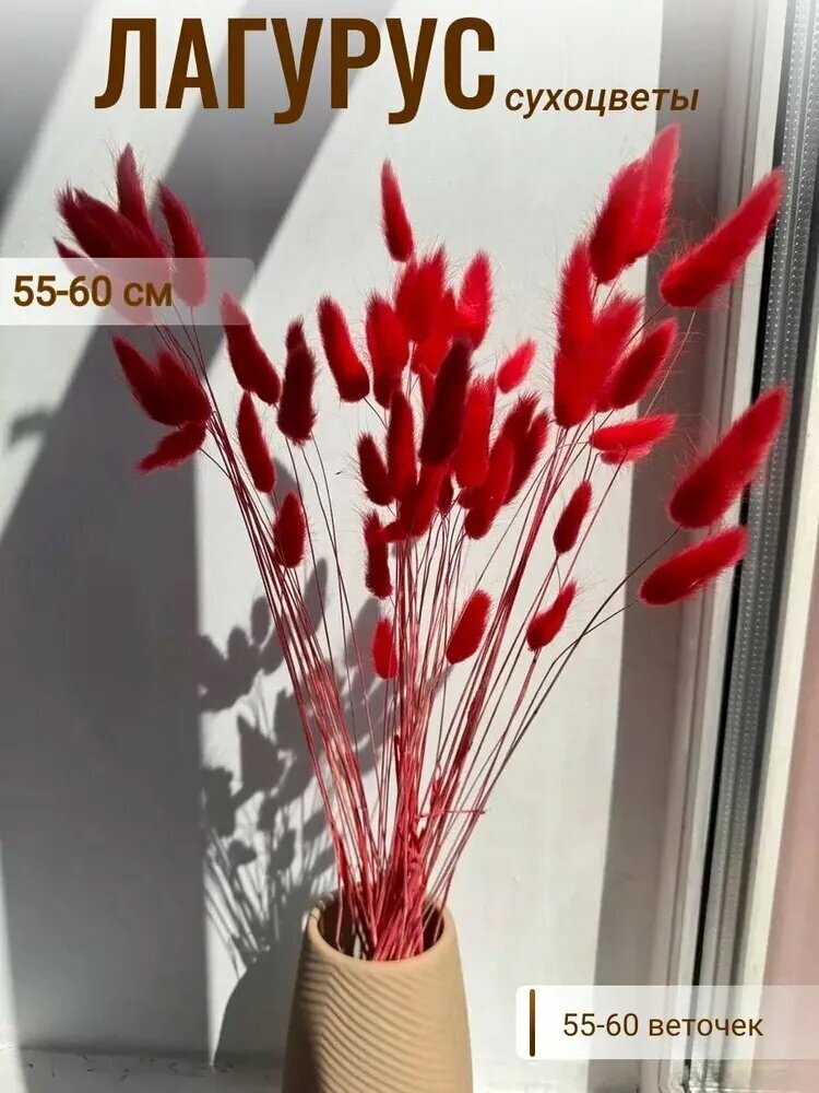 Сухоцветы Лагурус, 60 см, 35 гр, 55 шт