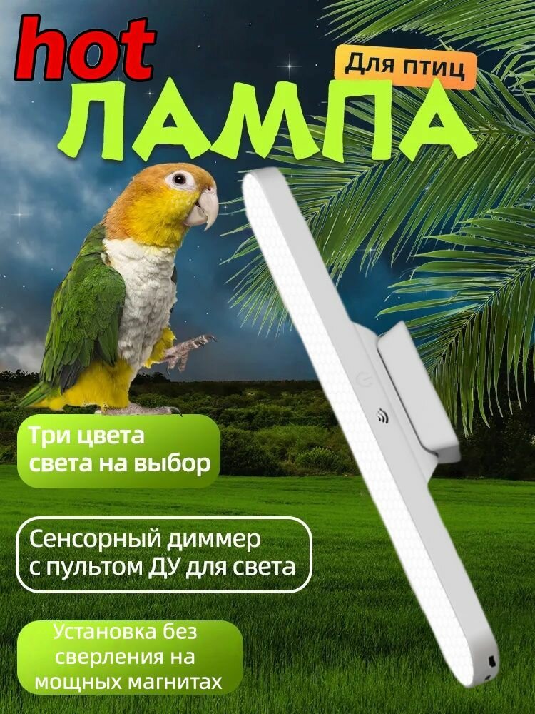 Лампа для птиц с магнитом, регулировкой угла, 3 цветами света (сенсор + ПДУ) Лампа для декоративных птиц