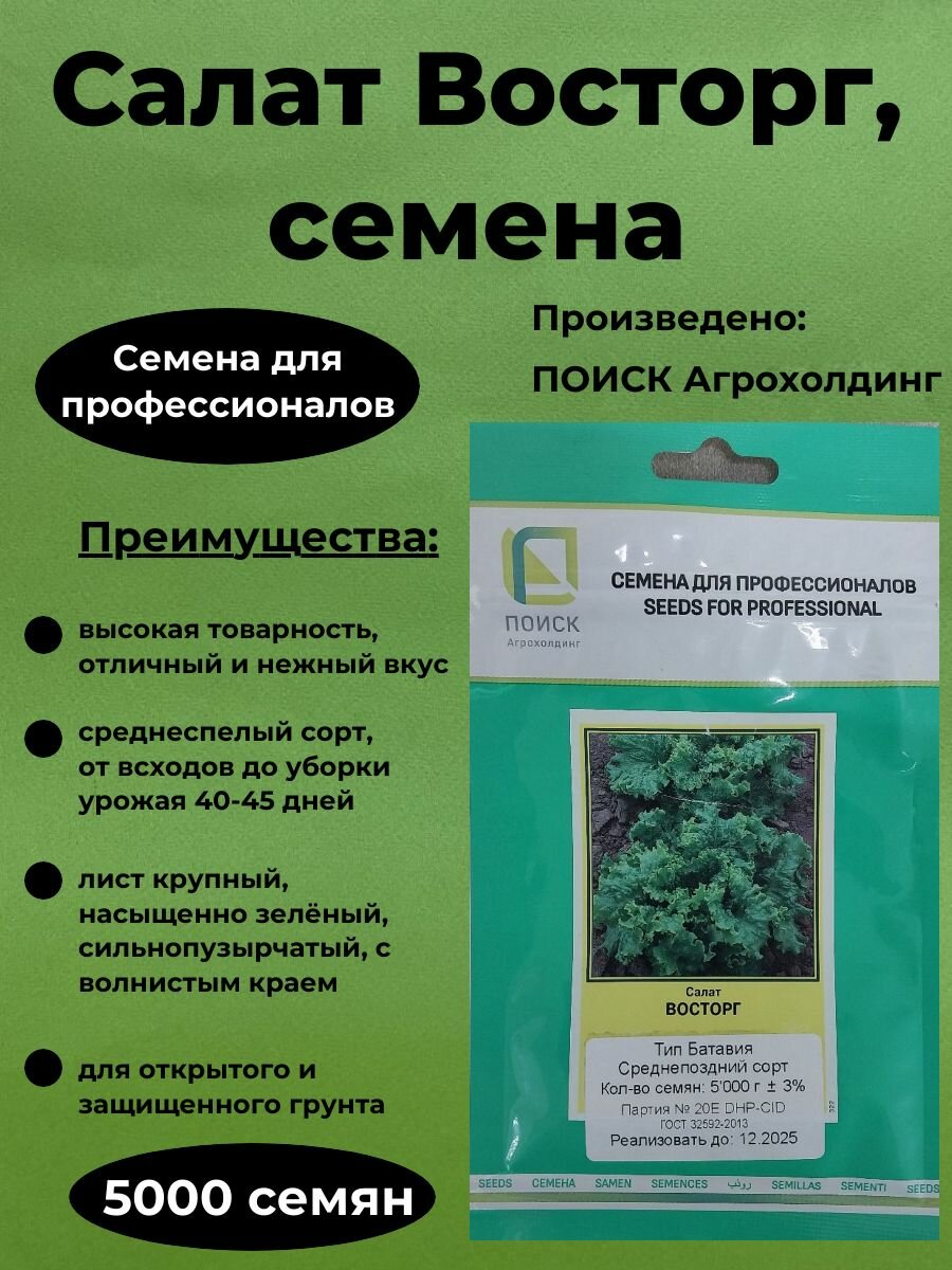 Салат Батавия Восторг, Семена для профессионалов.