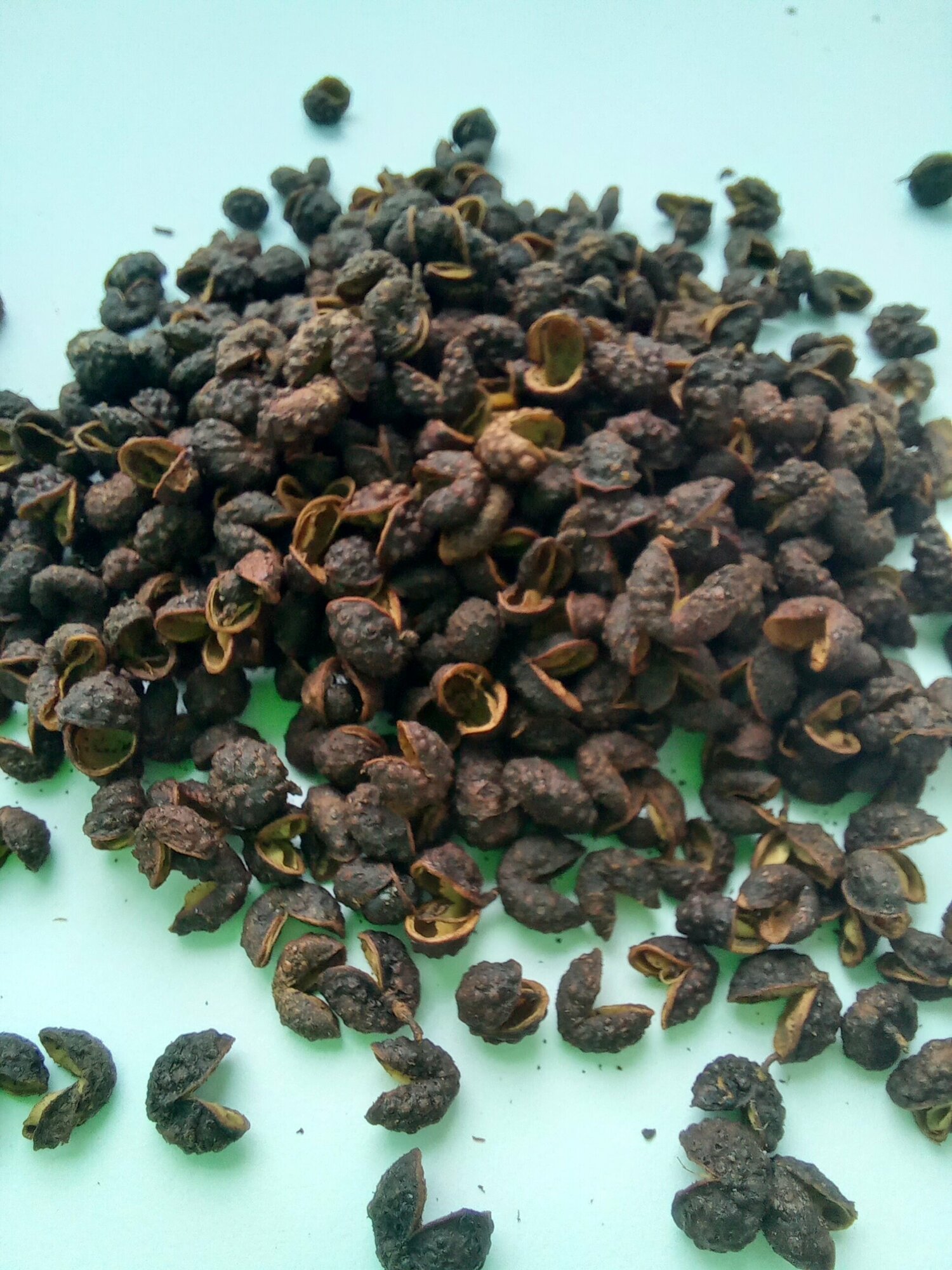 Перец тимут непальский /100 гр