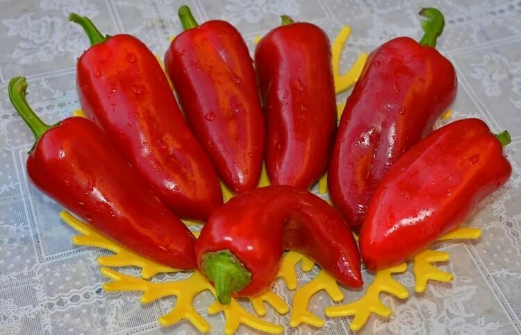 Коллекционные семена перца сладкого Галстук красный
