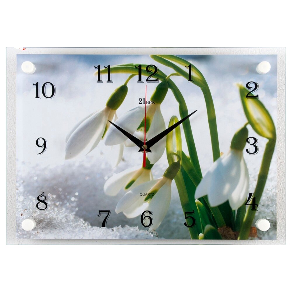 Настенные часы 21 Век СН 2535-450