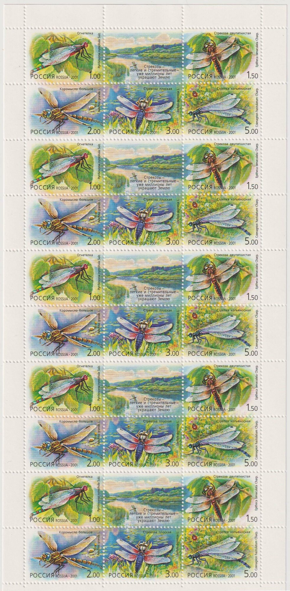 Почтовые марки Россия 2001г. "Стрекозы" Насекомые MNH