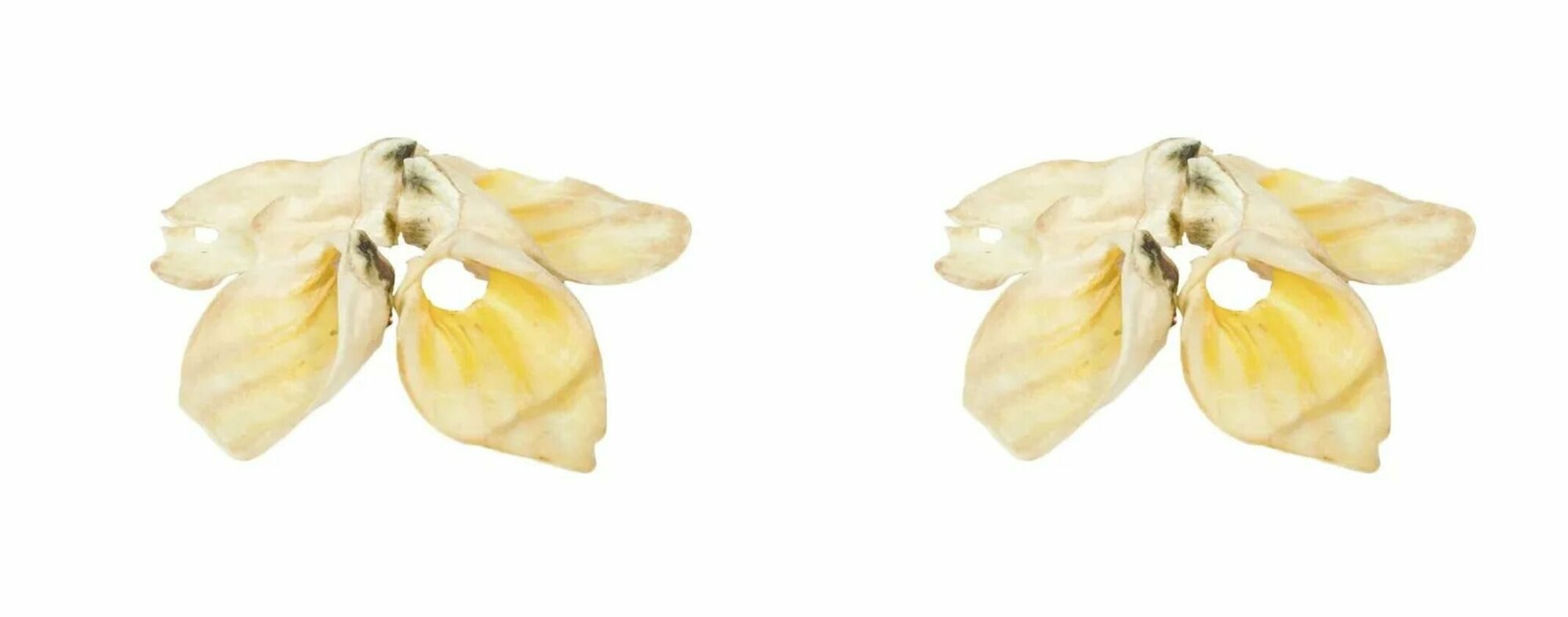 Titbit Лакомство для собак, Ухо говяжье XXL, 2 шт