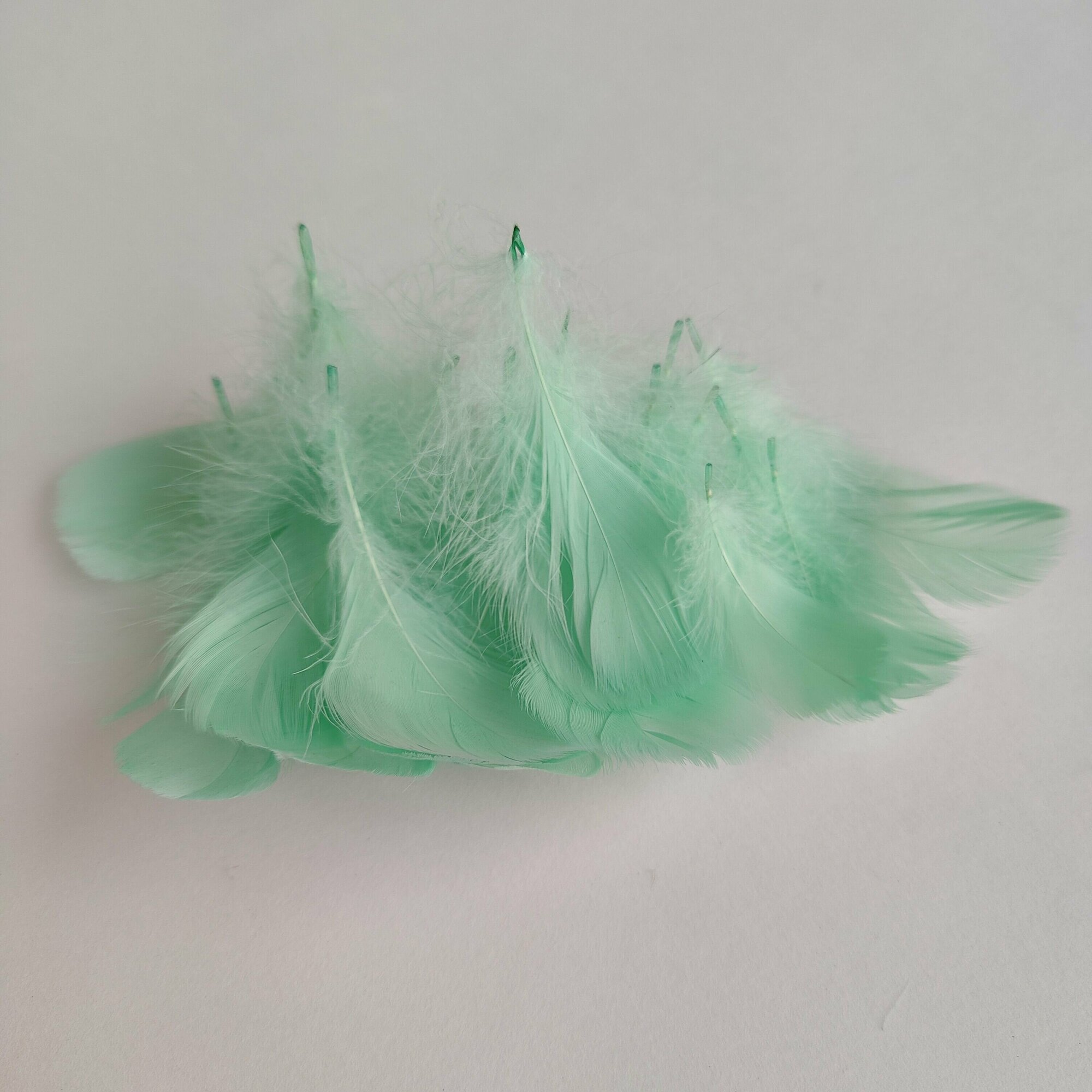 Перья декор мятные №15, 100 штук