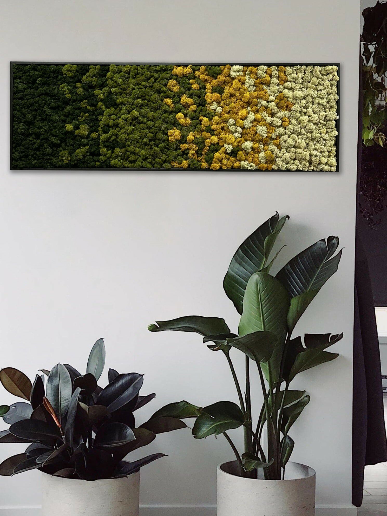 Картина "Spring" Секвойя Дом Мха - MossArt из стабилизированного мха Ягель в подарочной упаковке, 117*40 см.