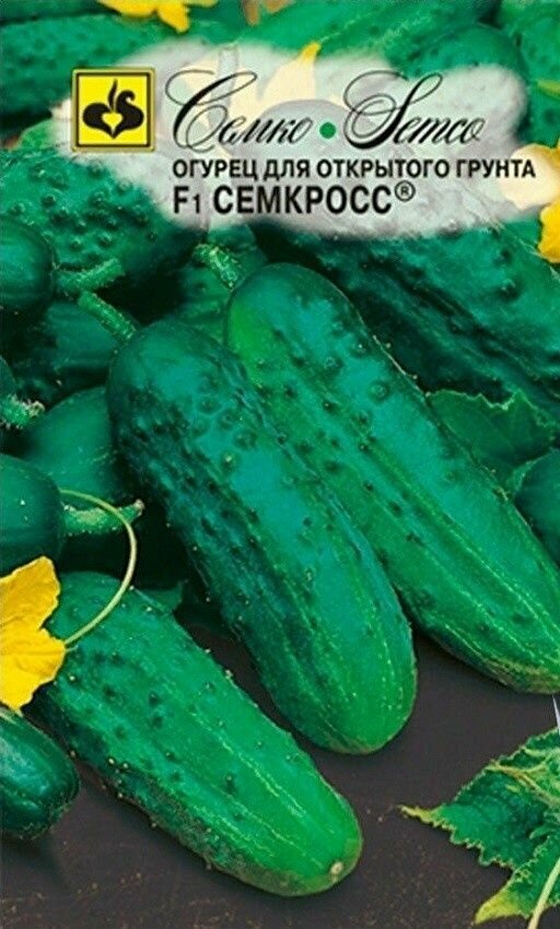 Семена Огурец Семкросс F1 (1гр. в упаковке)