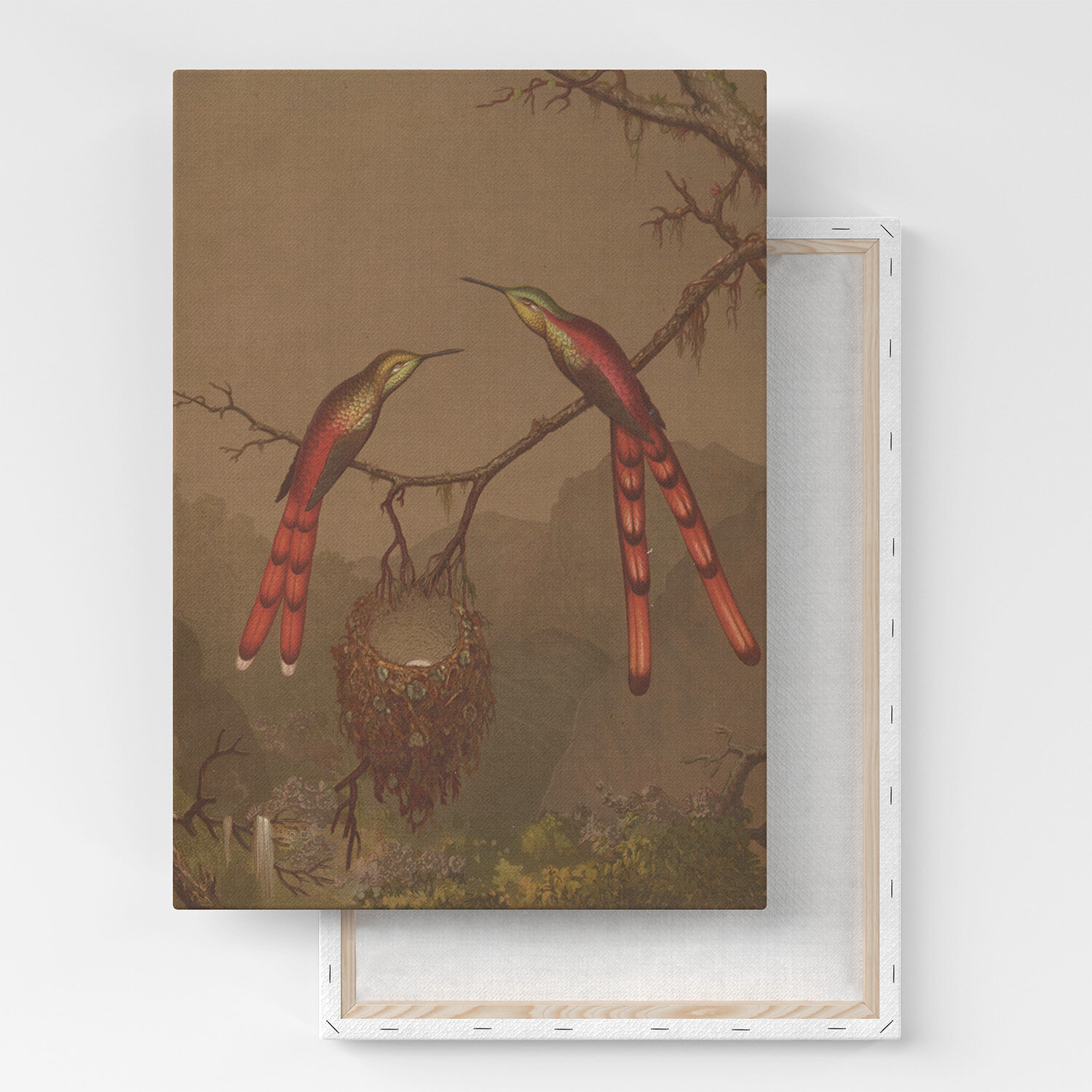 Картина на холсте, репродукция / Мартин Джонсон Хед - Brazilian Hummingbirds I / Размер 30 x 40 см
