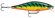 Воблер RAPALA Shadow Rap Shad Deep 09 /FT